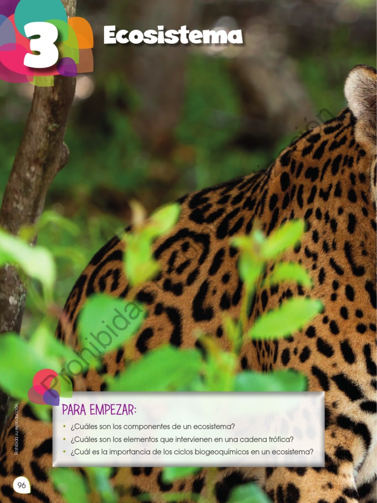 Ecosistema | PDF | Ecosistema | Entorno natural