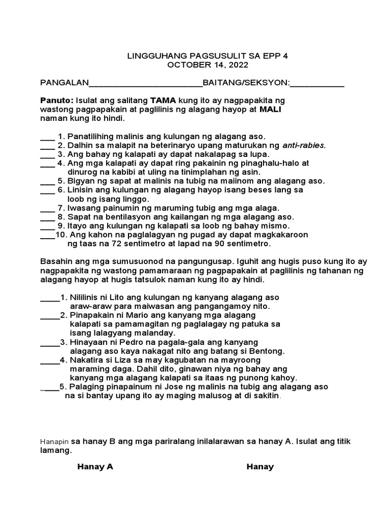 LINGGUHANG PAGSUSULIT SA EPP 4 I OCTOBER 14 2022 | PDF