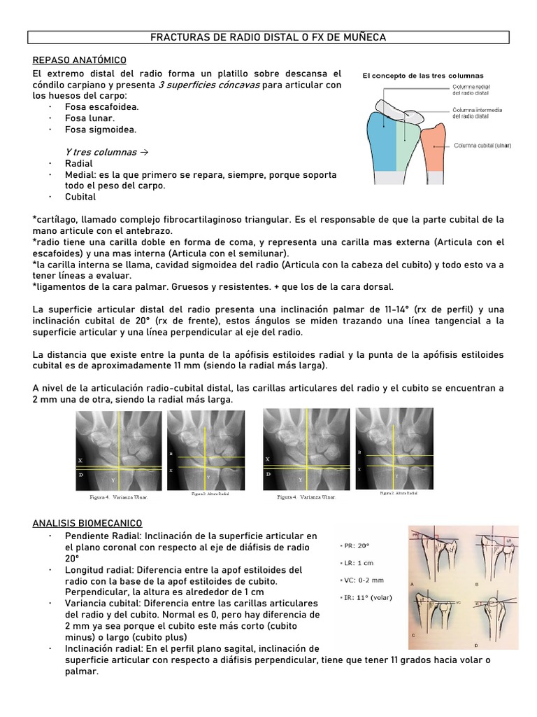 Fractura de Radio Distal | PDF | Mano | Sistema esquelético