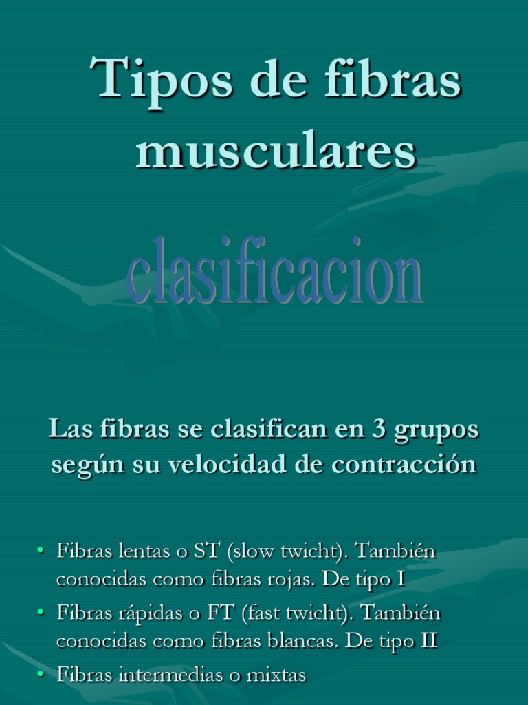 2-Tipos de Fibras Musculares | PDF | Ciencia y matemáticas