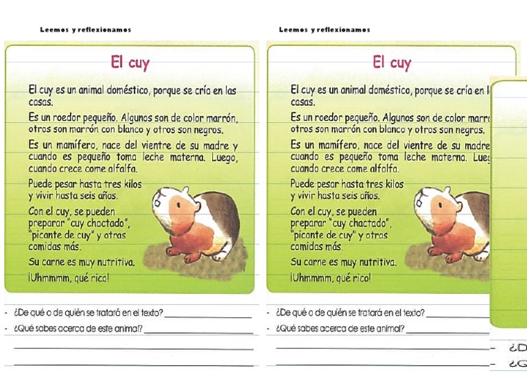 26-06leemos y Reflexionamos El Texto EL CUY | PDF