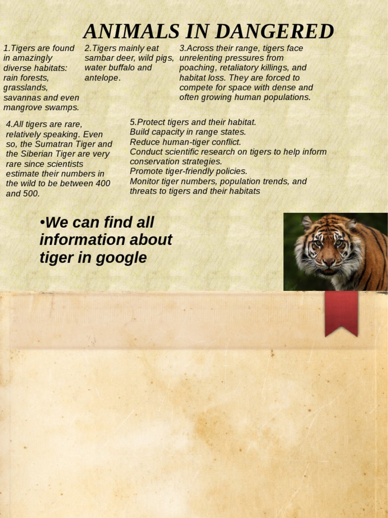 Tiger | PDF