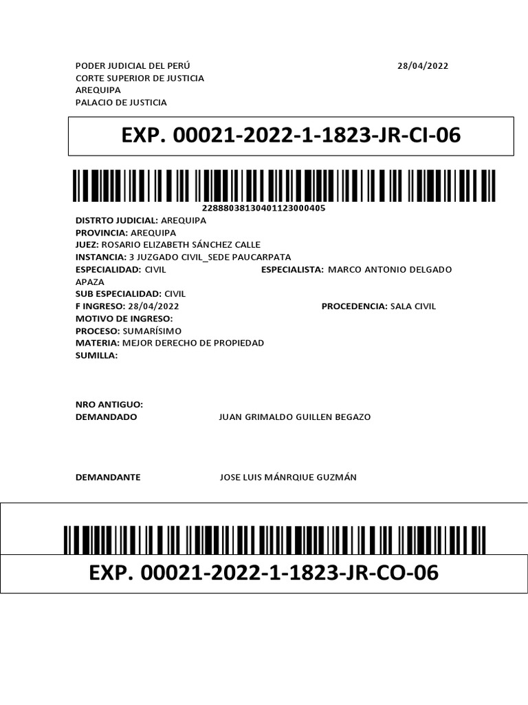 Caratula de Exp | PDF