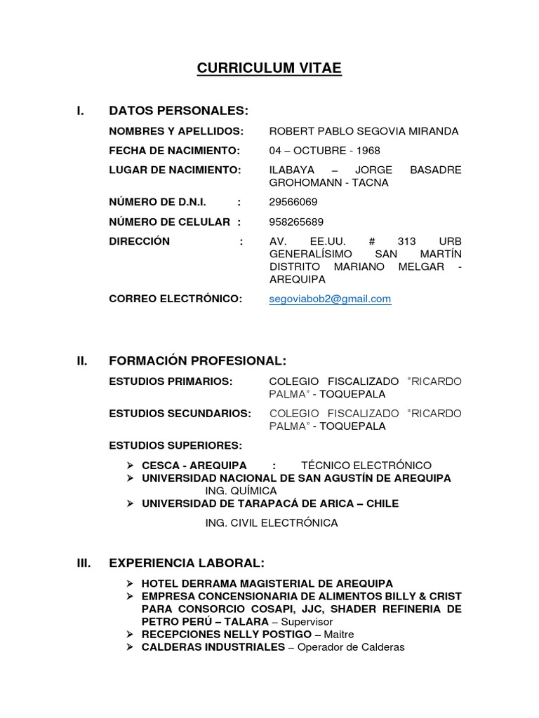 CURRICULUM VITAE ROBERT- TOQUEPALA (1) | PDF