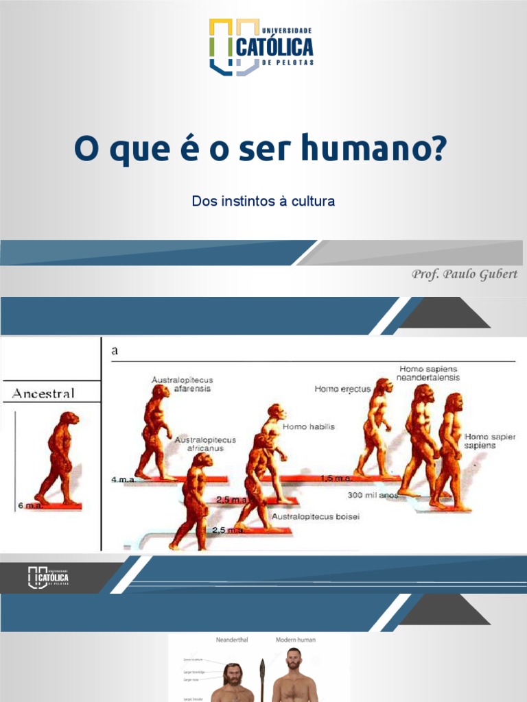Aula 1 - O Que É Ser Humano. Dos Instintos À Cultura | PDF | Humano ...