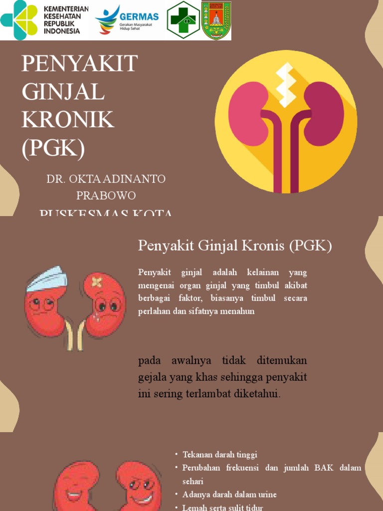 Penyakit Ginjal Kronik (PGK) | PDF