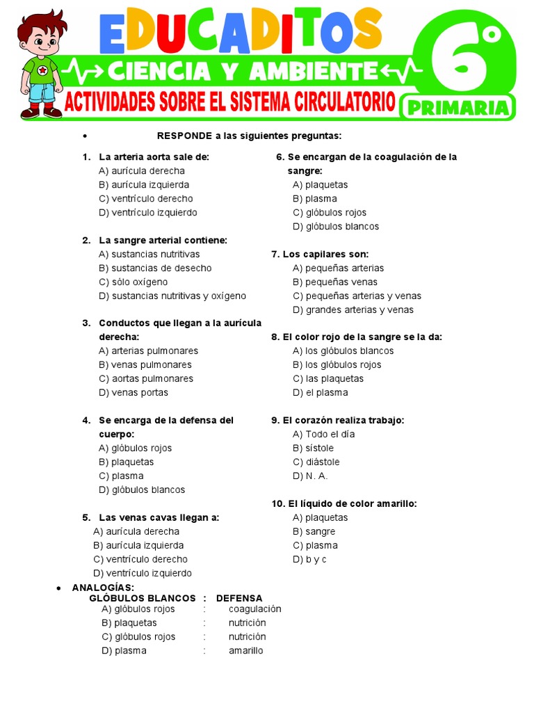 Actividades Sobre El Sistema Circulatorio para Sexto Grado de Primaria ...