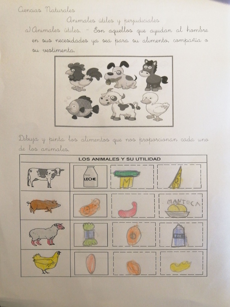 Animales Útiles y Perjudiciales. | PDF