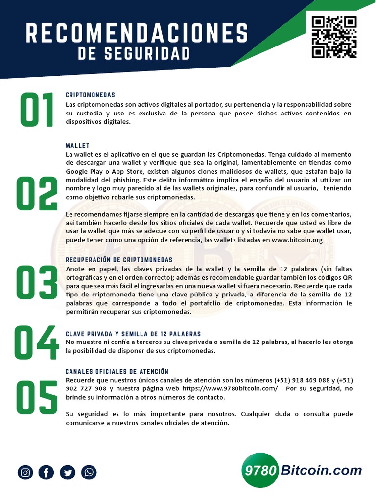 Recomendaciones de Seguridad | PDF