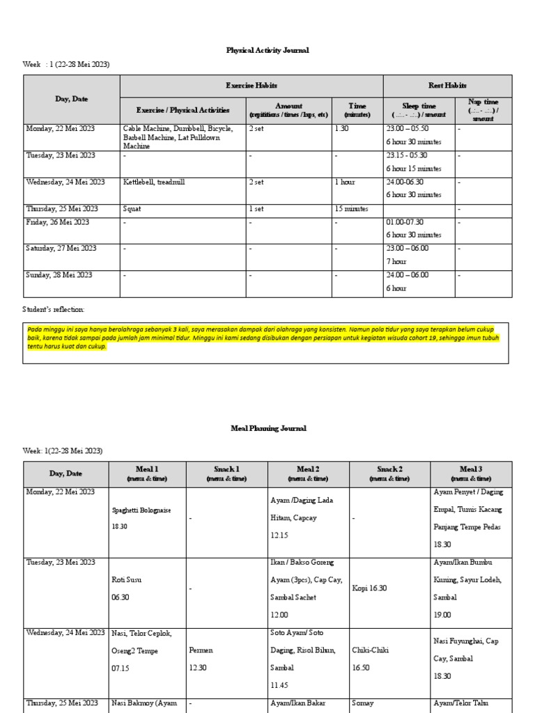 Health and Wellness Journal Template (2) | PDF