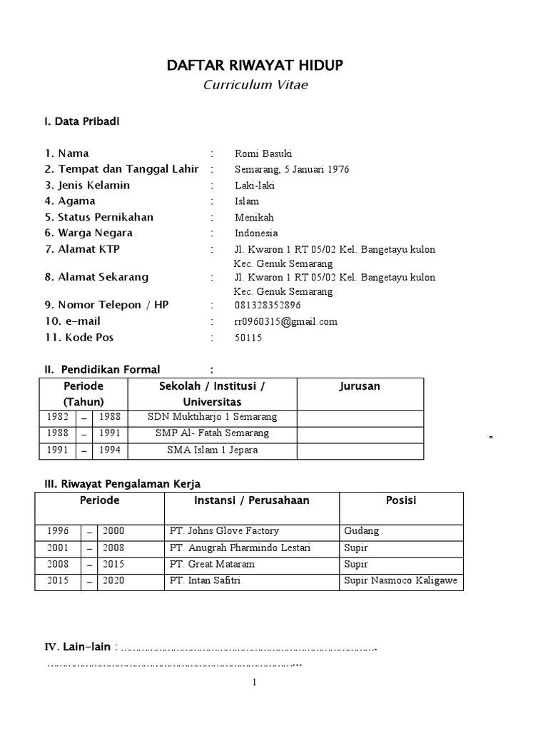 CV Romi Basuki | PDF