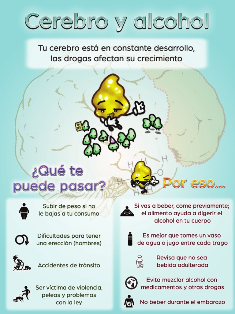 Infografia Cerebro y Alcohol | PDF