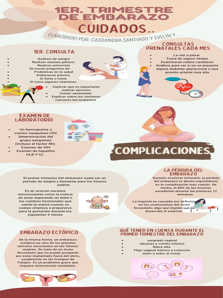 INFOGRAFIA | PDF | El embarazo | Cuidado de la salud