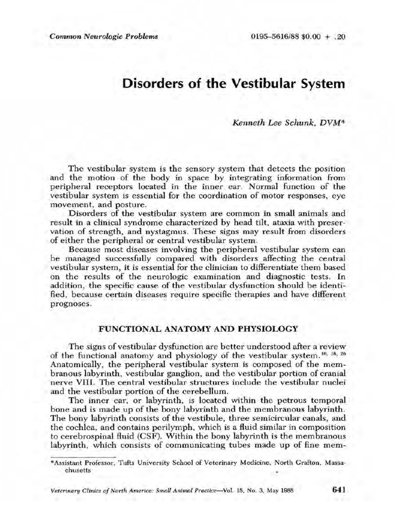 Vestibular Disorders in Small Animals | PDF | Vestibular System | Ear
