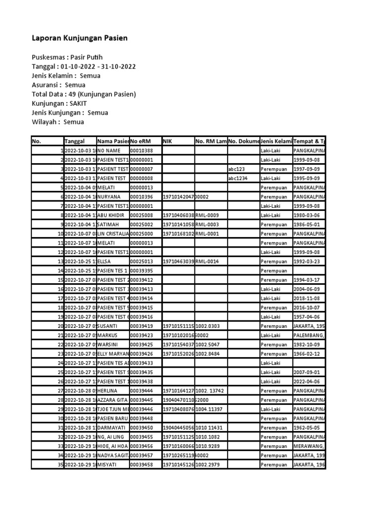 Laporan Kunjungan Pasien | PDF