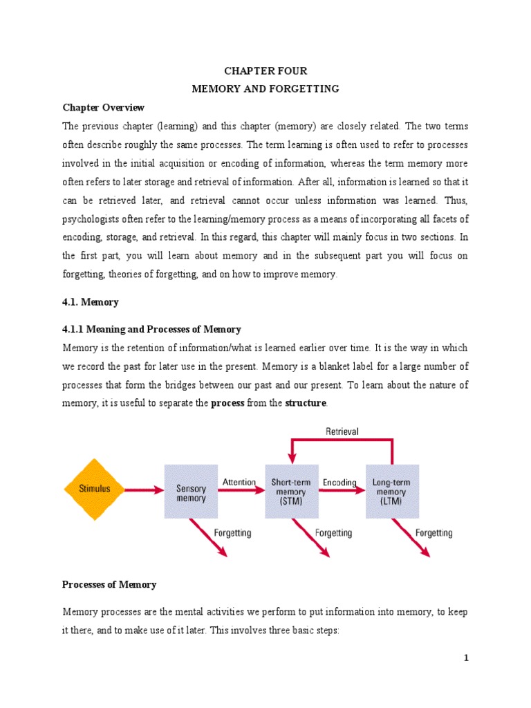 C4 Memory and Forgotten | PDF | Memory | Recall (Memory)