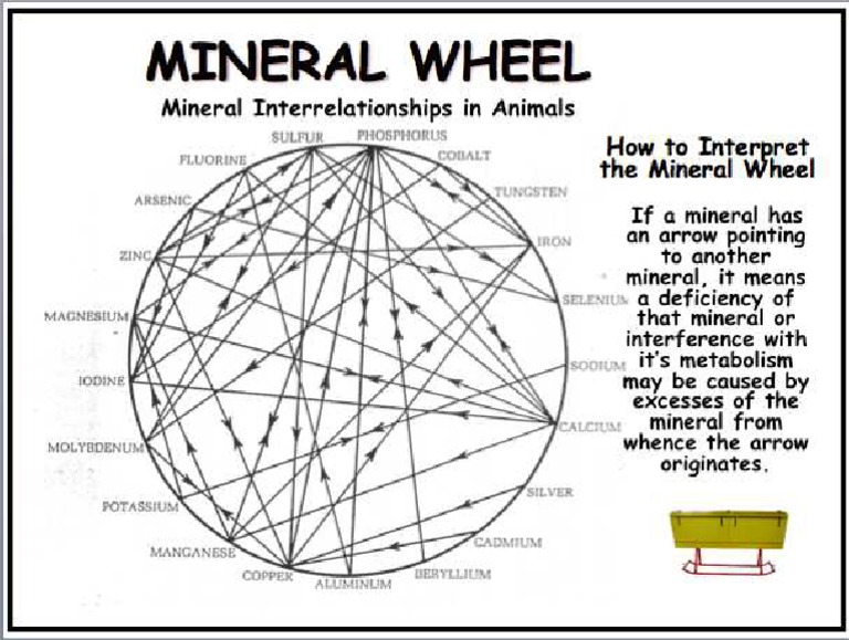 Mineral Wheel | PDF