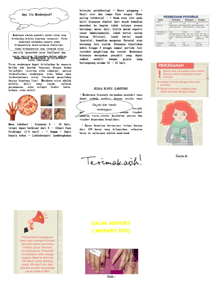 LEAFLET Monkey Pox | PDF