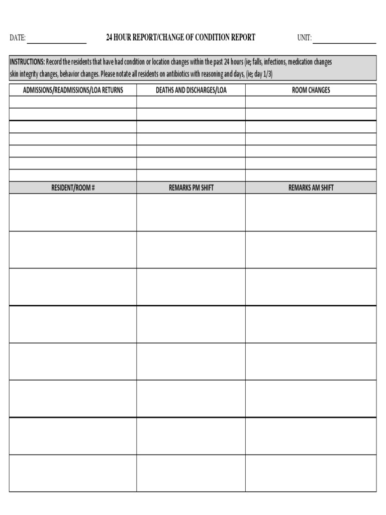 24 Hour Report PDF | PDF