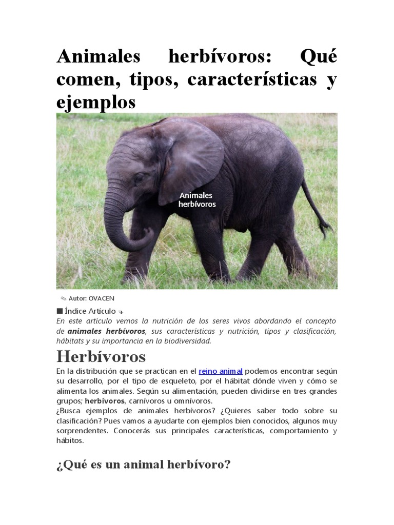 Animales Herbívoros Por Su Alimentacion | PDF | Herbívoro | Digestión
