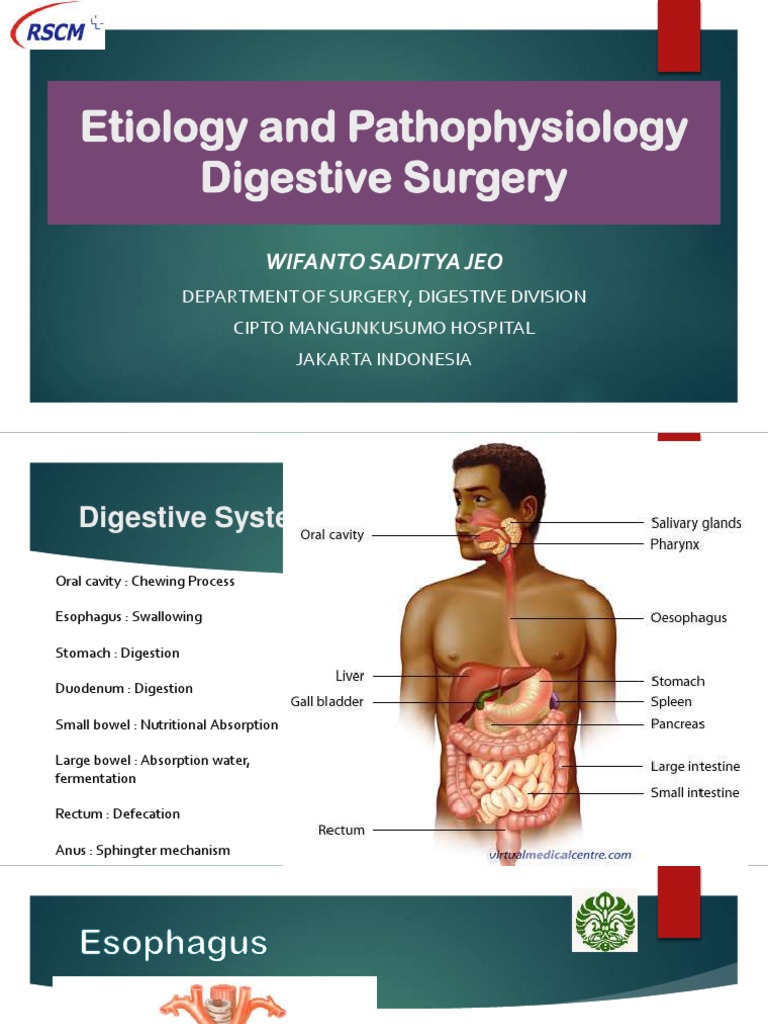 Etiologi Dan Patofisiologi Bedah Digestif | PDF | Esophagus | Small ...