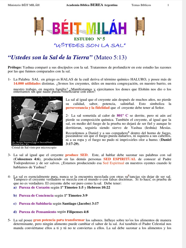 Fdocuments - Es - Vosotros Sois La Sal | PDF | sal | Tetragrammaton