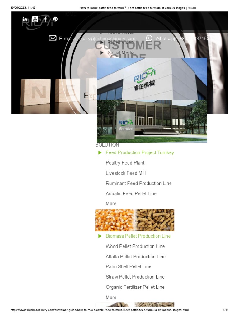 Beef Cattle Feed Formulation Guide | PDF | Animal Feed | Cattle