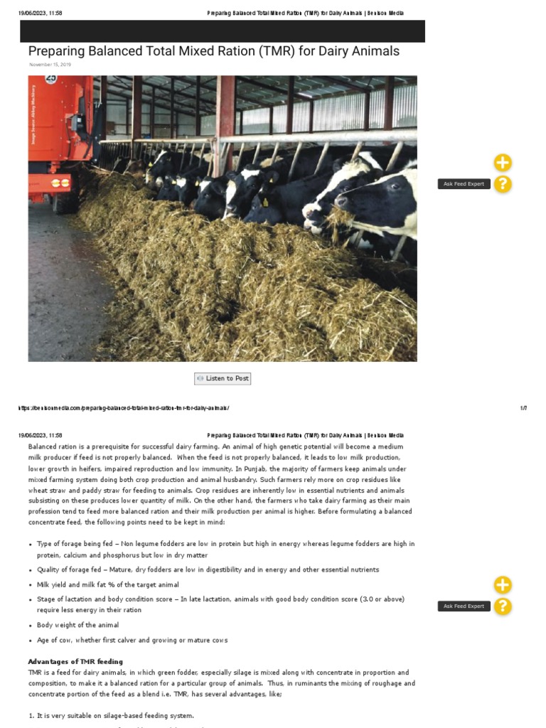 Preparing Balanced Total Mixed Ration (TMR) For Dairy Animals - Benison ...