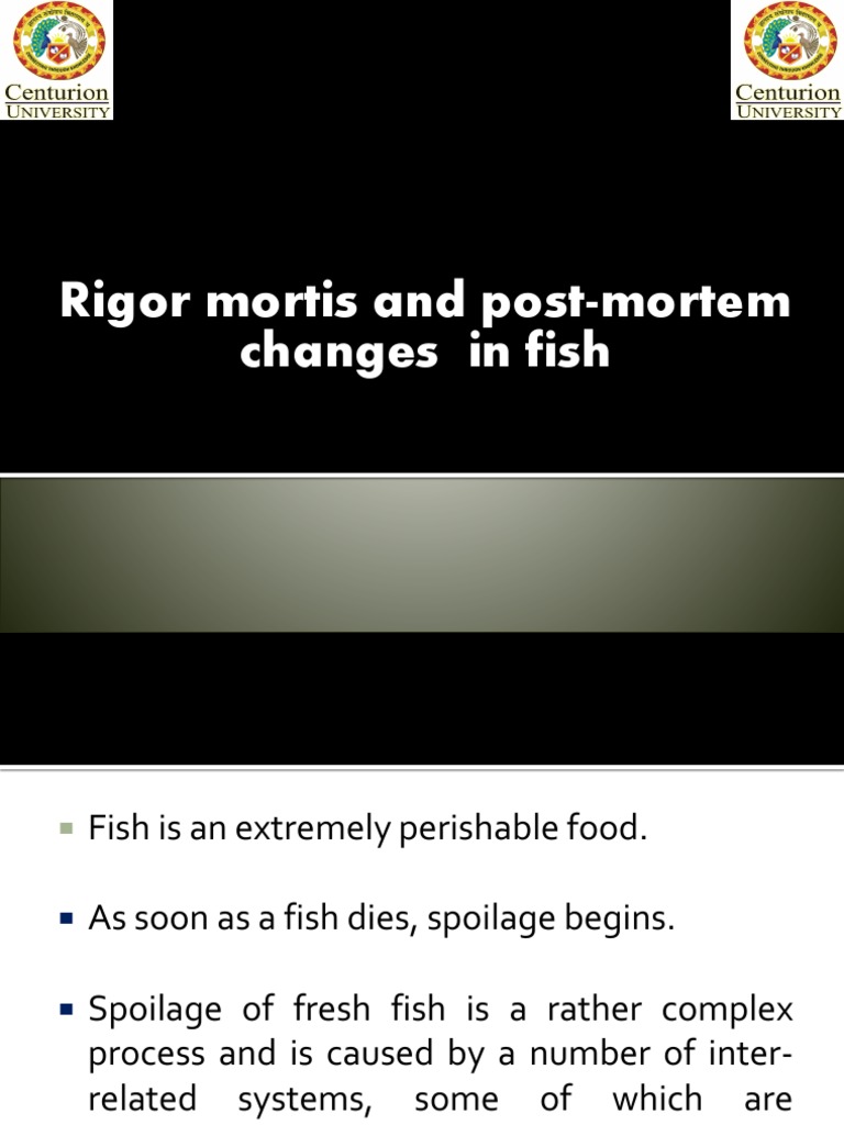 1.5.1 Post Mortem Changes in Fish | PDF | Chemistry
