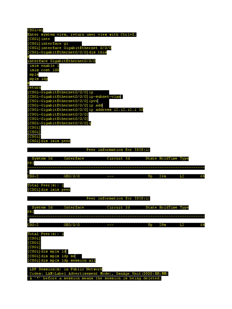 CSG1 | PDF | Networking | Multiprotocol Label Switching