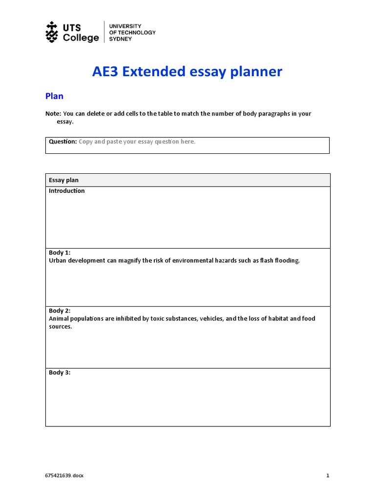 AE3 Extended Essay Planner | PDF | Essays | Word