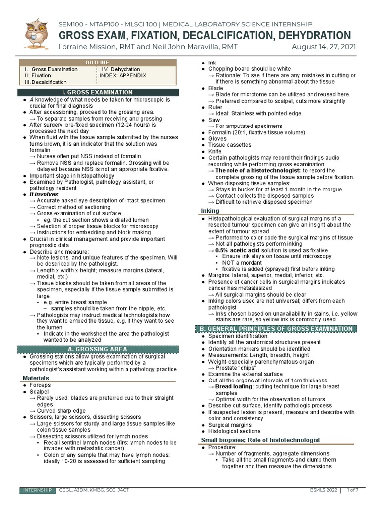 HP - 2 - Gross Examination, Fixation, Decalcification, Dehydration Version 3 | PDF | Fixation ...