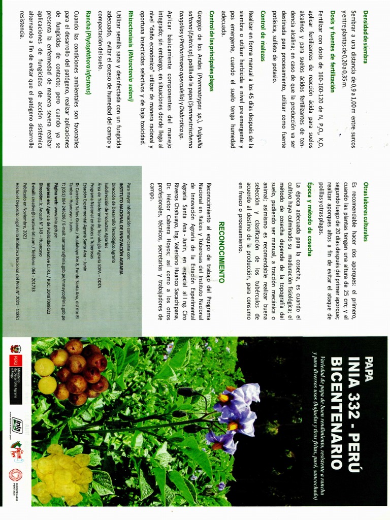 Papa Inia 332 - Peru Bicentenario | PDF