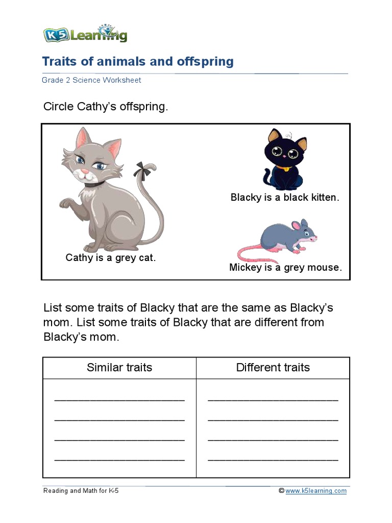 Worksheets:science:grade 2 Animal Traits A | PDF