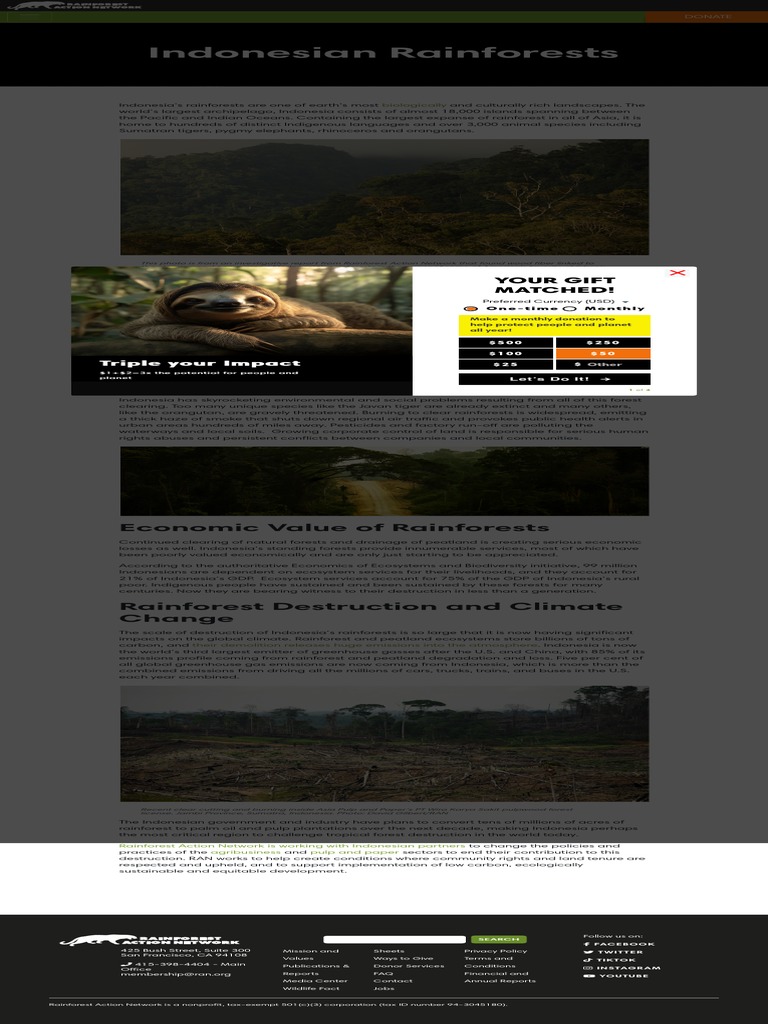 Indonesian Rainforests - Rainforest Action Network | PDF | Rainforest ...