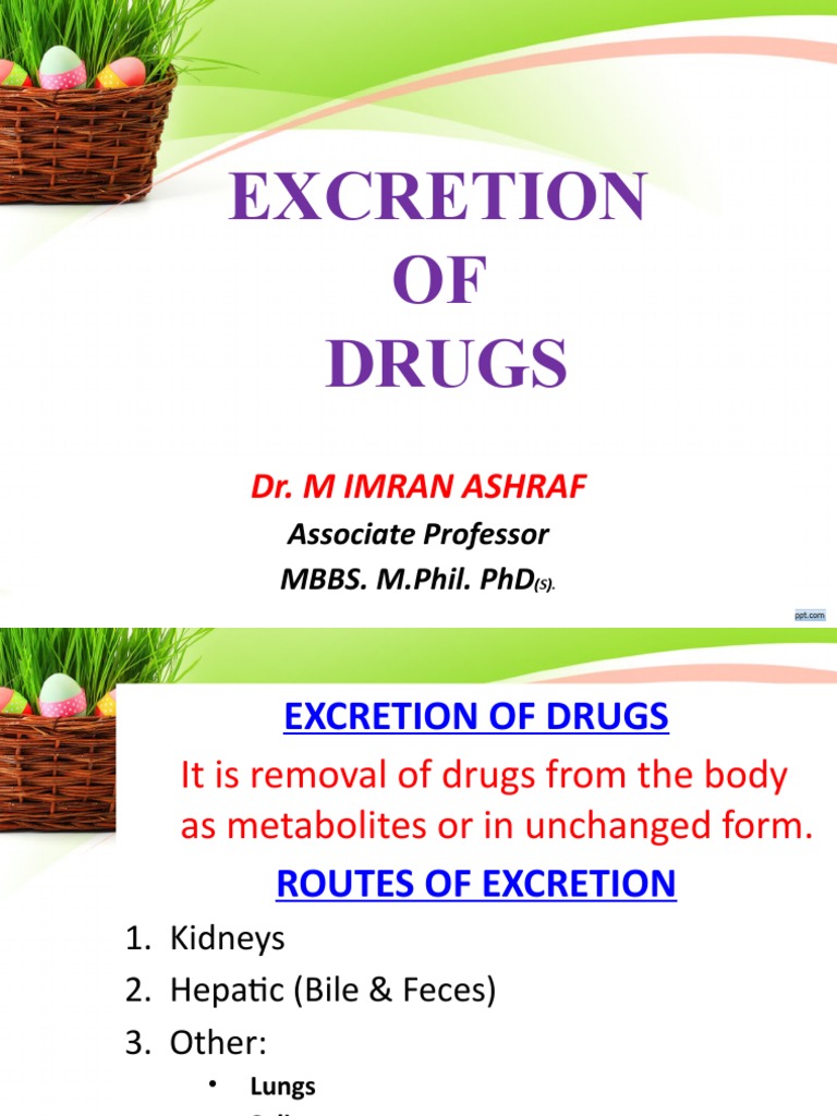 Excretion (Dr. Imran Ashraf) | PDF | Pharmacokinetics | Kidney