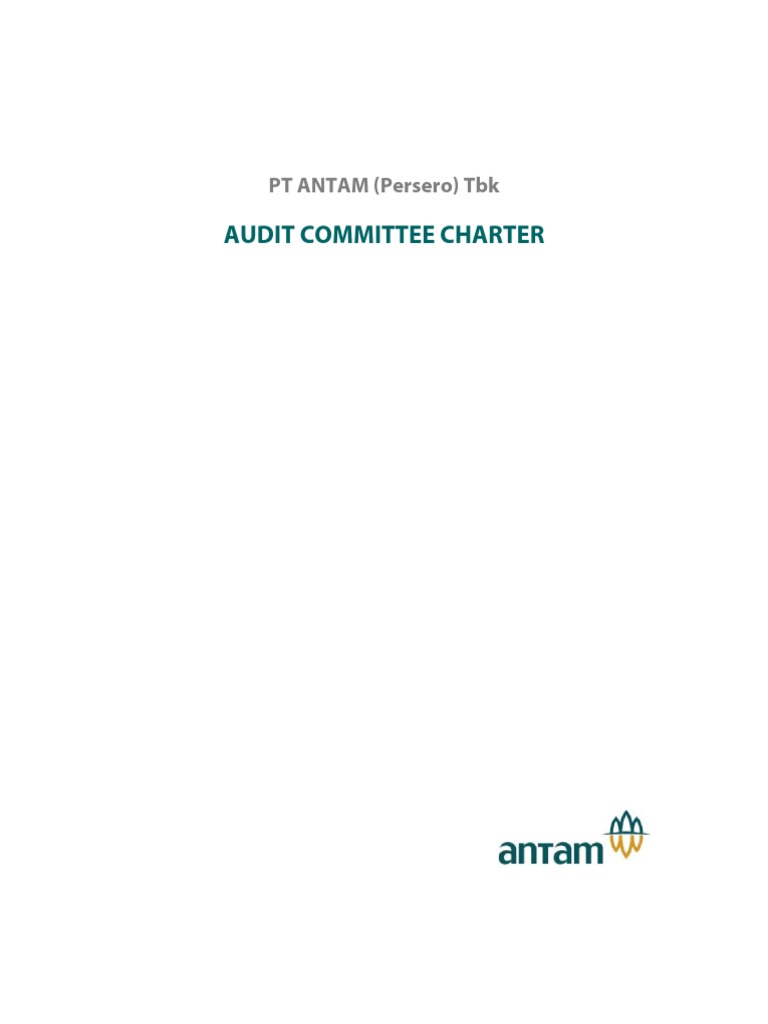 Charter of The Audit Commitee | PDF | Internal Control | Audit
