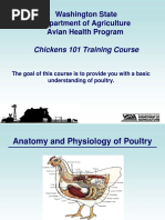 Poultry Production Lecture Notes | PDF | Poultry Farming | Chicken