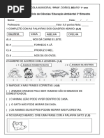 Prova 3b - 3º Ano Ciências | PDF