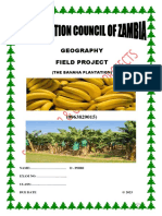 Geography Field Project Grade 12 2023 | PDF | Ecosystem | Deforestation