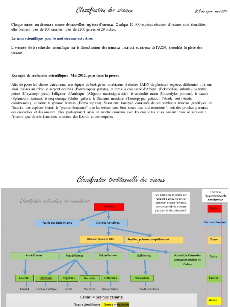Oiseaux Classification | PDF | Anatidés | Oiseaux