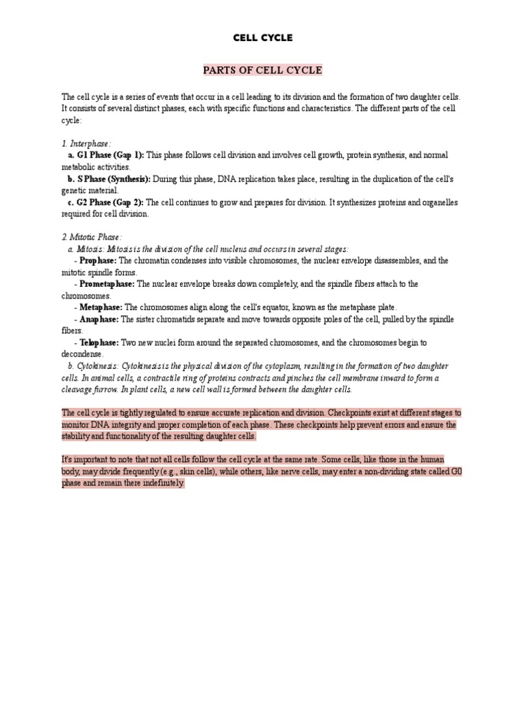 Cell Cycle: Phases and Processes | PDF | Meiosis | Mitosis