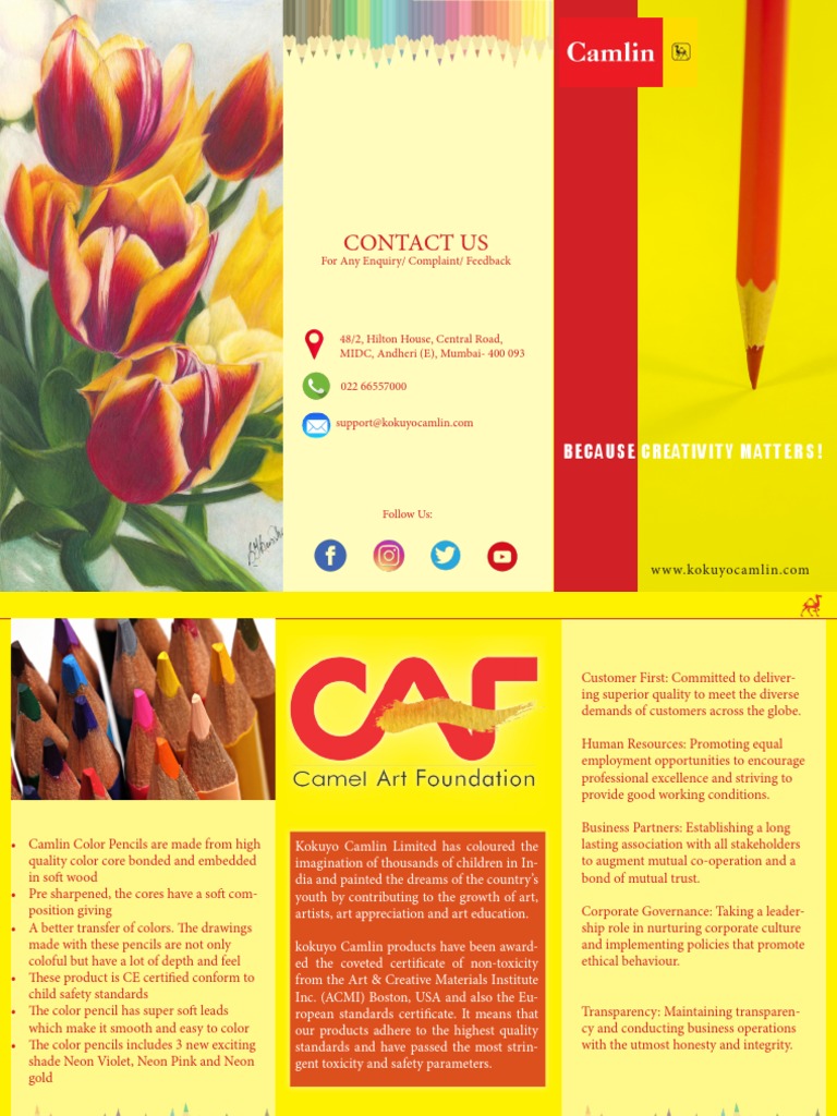 Camlin Color Pencil Brochure | PDF | Business