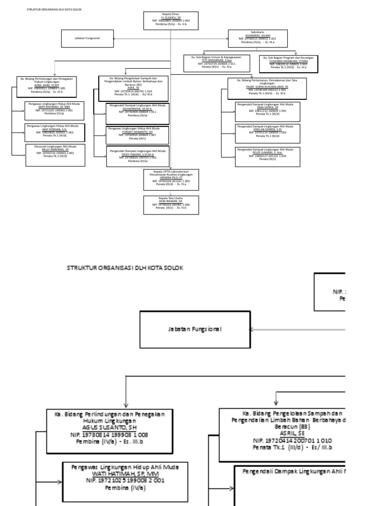 Struktur DLH 2022 OK | PDF