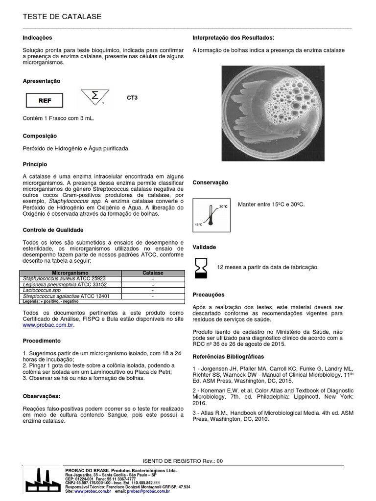 Teste de Catalase | PDF | Catalase | Enzima