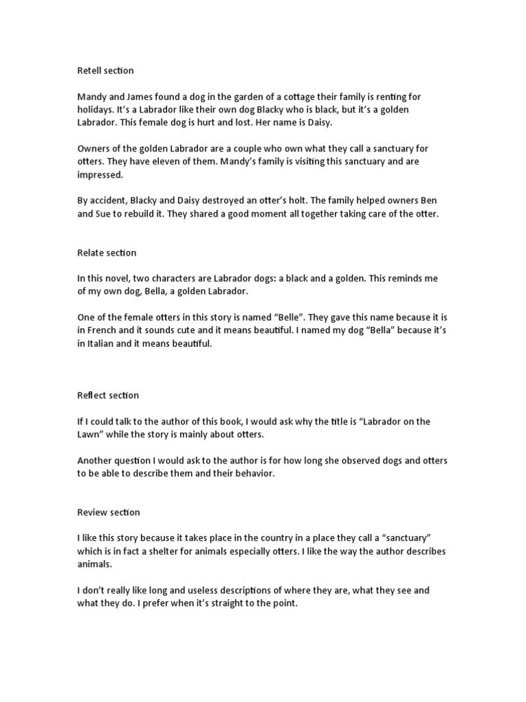 Book Review PDF