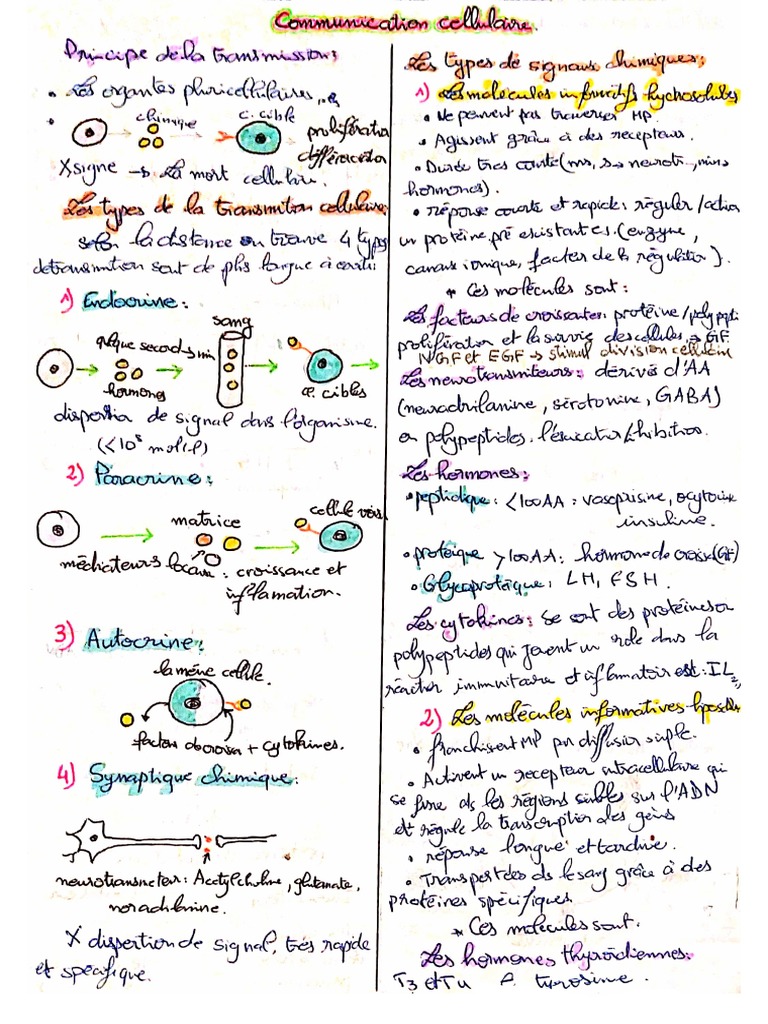 Communication Cellulaire | PDF