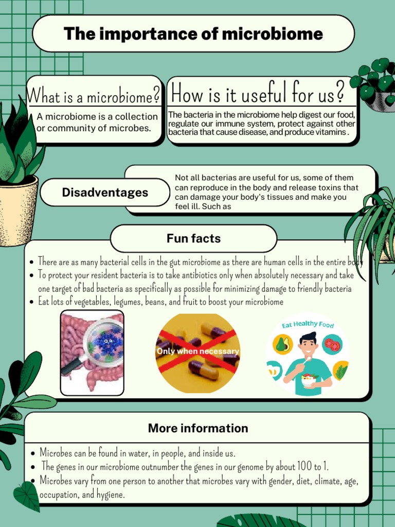Poster About The Importance of Microbiomes | PDF