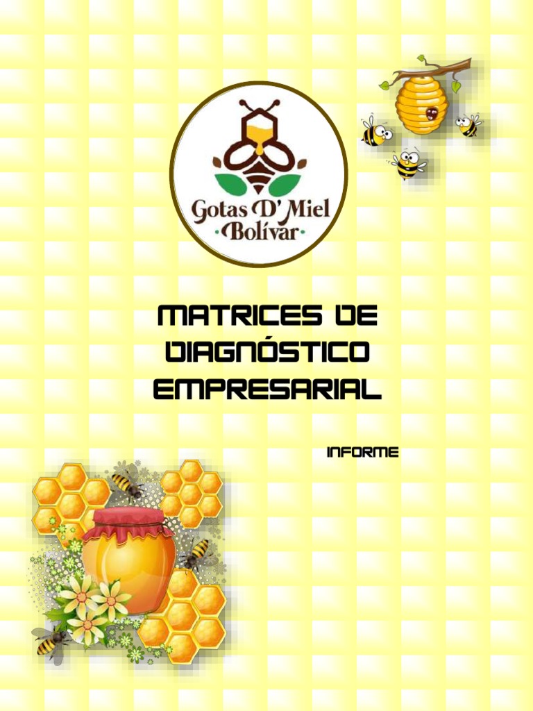 Presentación Matrices De Diagnóstico Empresarial Pdf Mercado