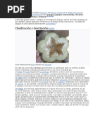 CENTA. Guía Técnica Del Cultivo de Zapote | PDF | Injerto | Riego